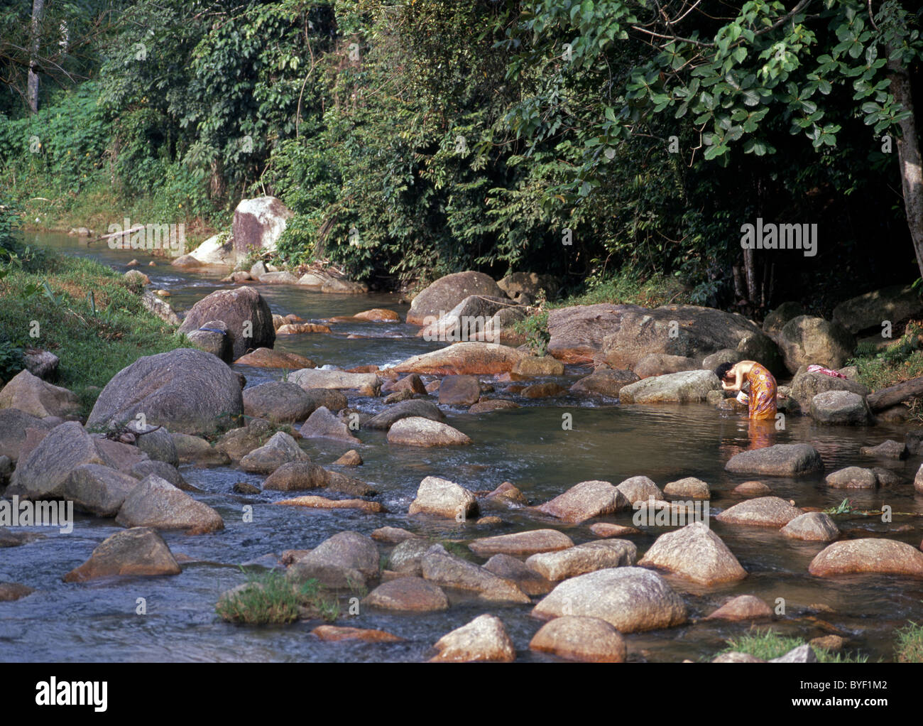 Woman washing in jungle stream, Penang Island, Malaysia Stock Photo - Alamy