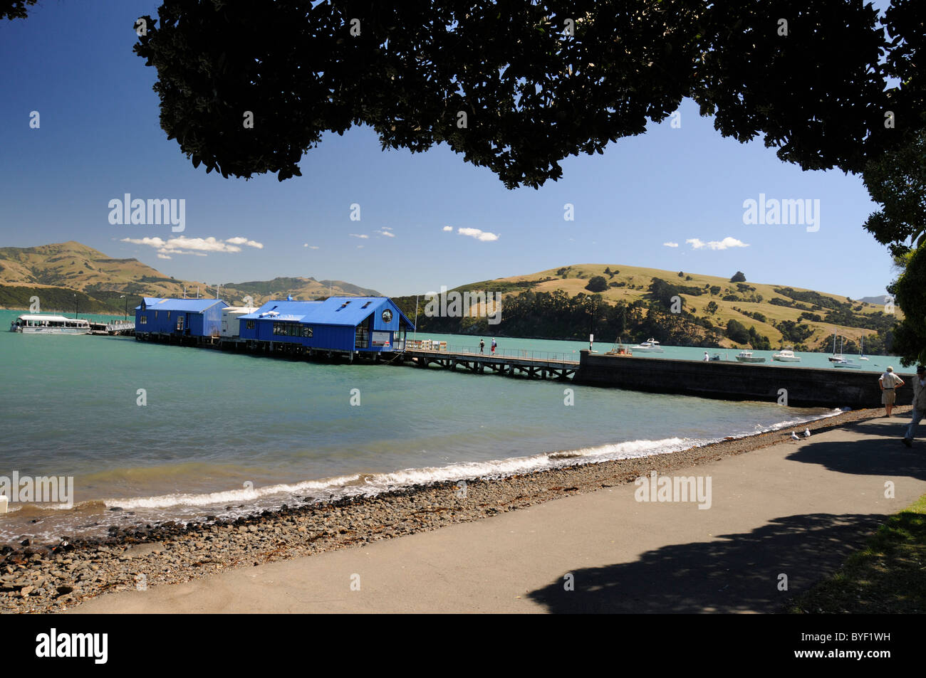 Akaroa wharf and harbour in a small picturesque historic town of Akaroa ...
