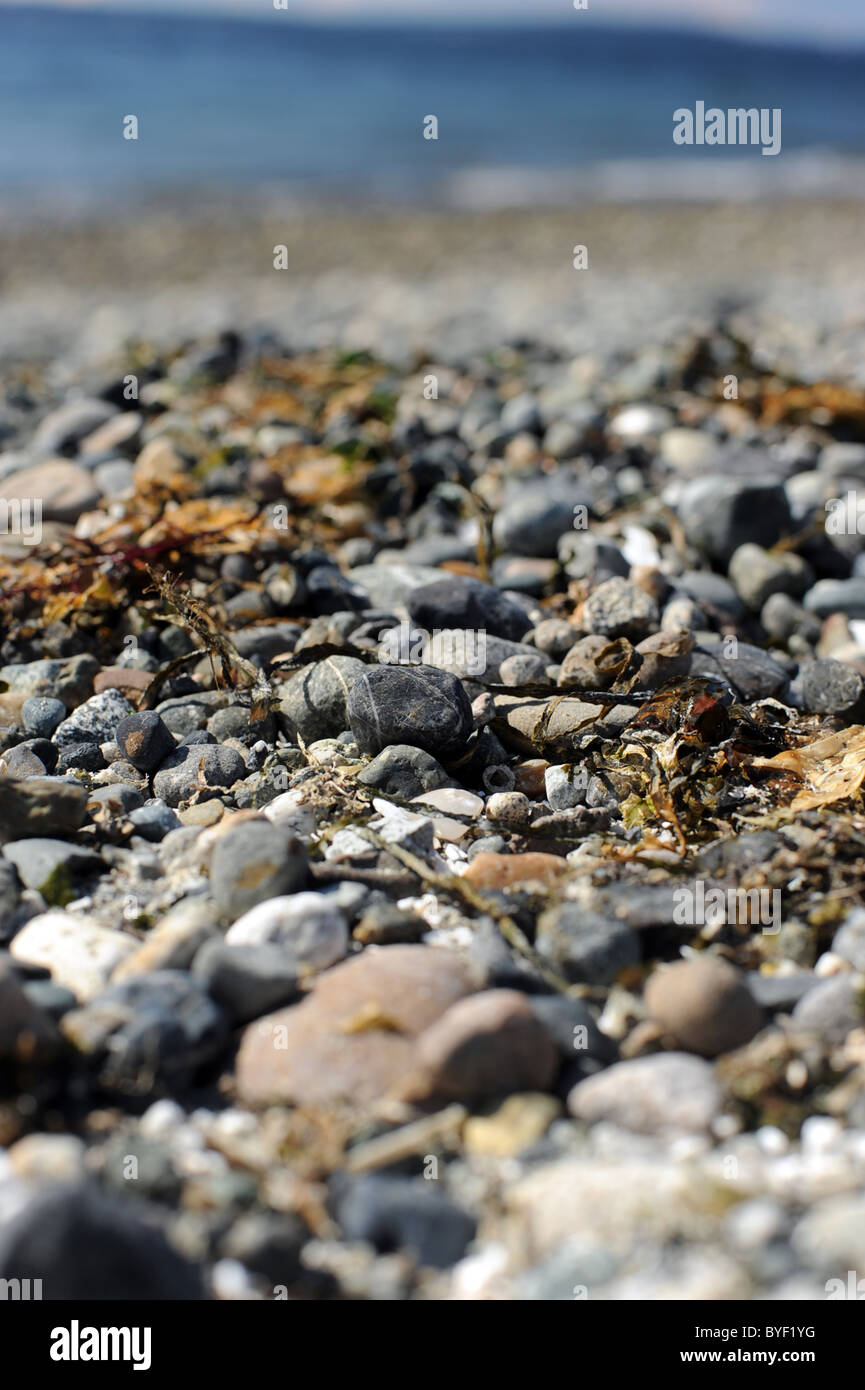 Carkeek park hi-res stock photography and images - Alamy