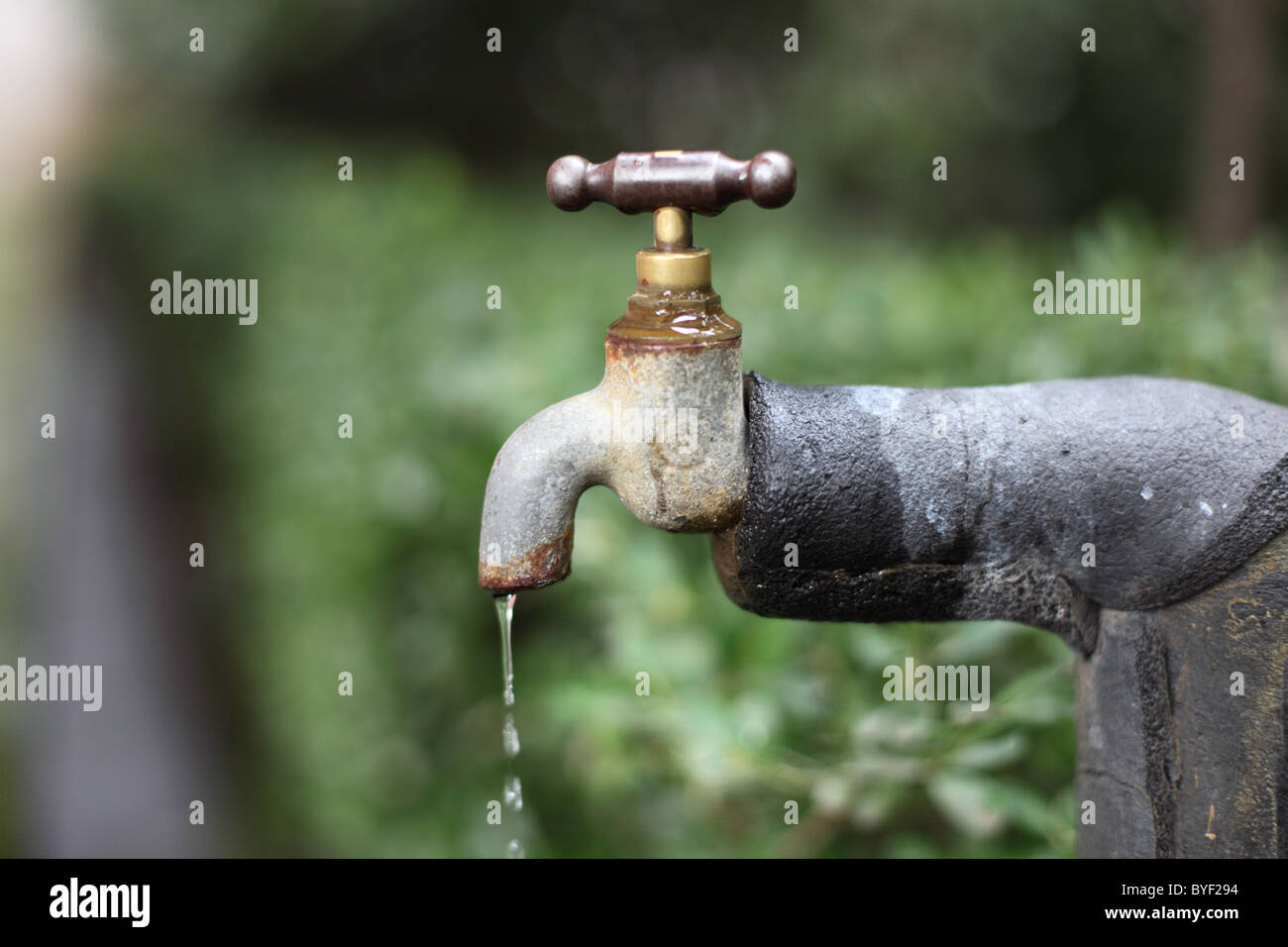 Old water tap in the garden Stock Photo - Alamy