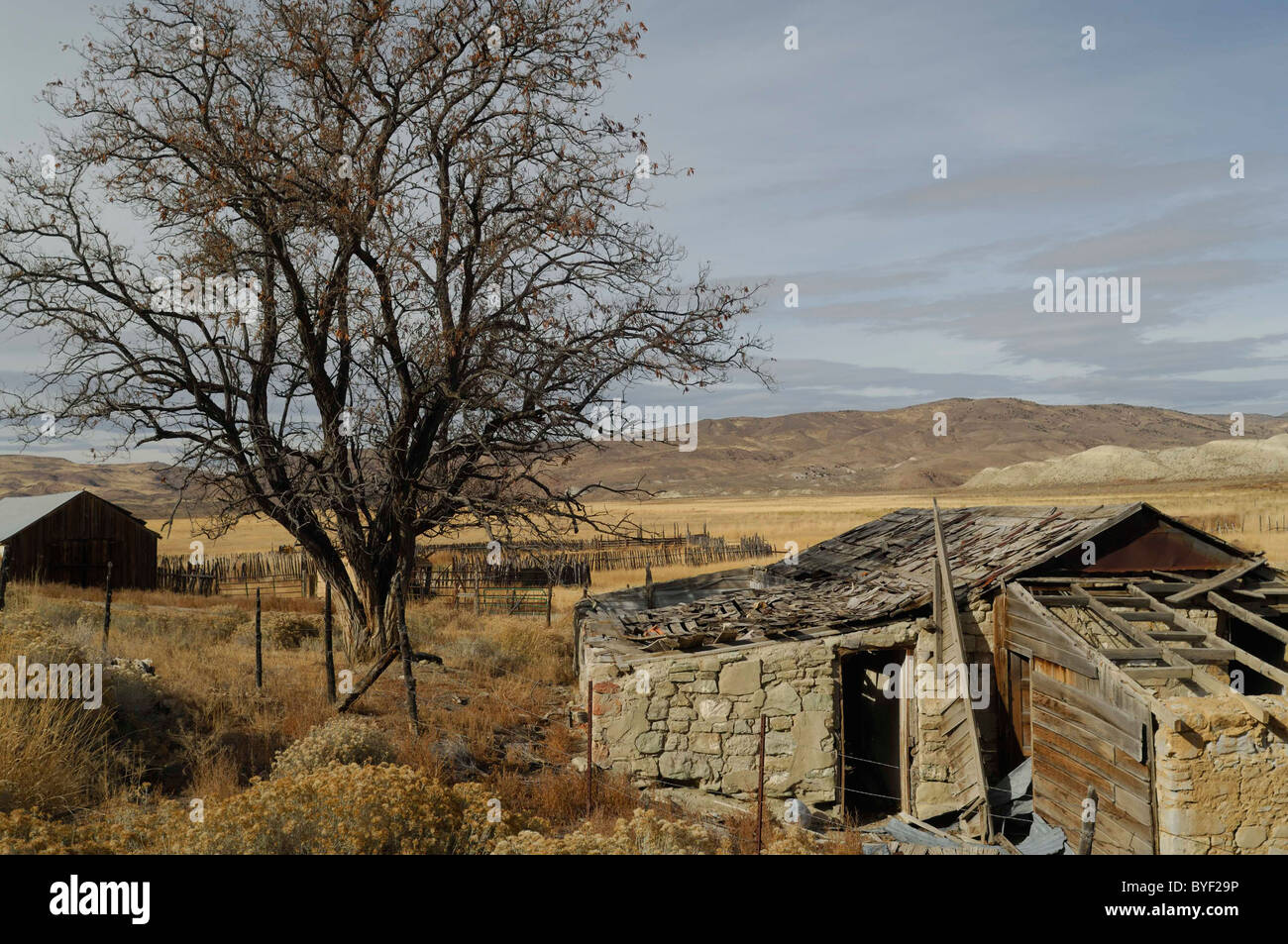 Austin, Nevada, Ranch, Abandoned Ranch, Ranching Stock Photo - Alamy