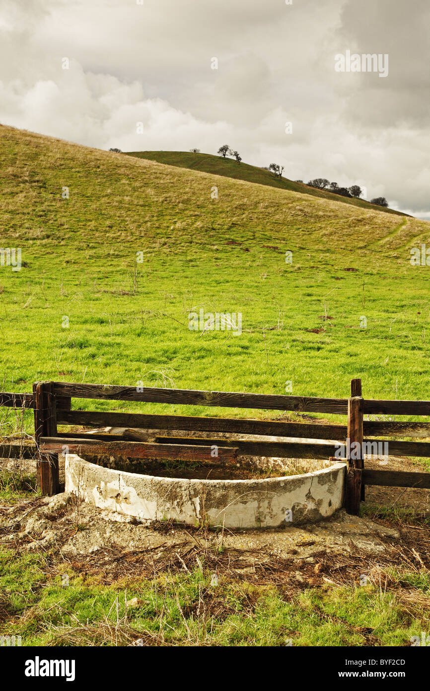 A cattle drinking trough Stock Photo - Alamy