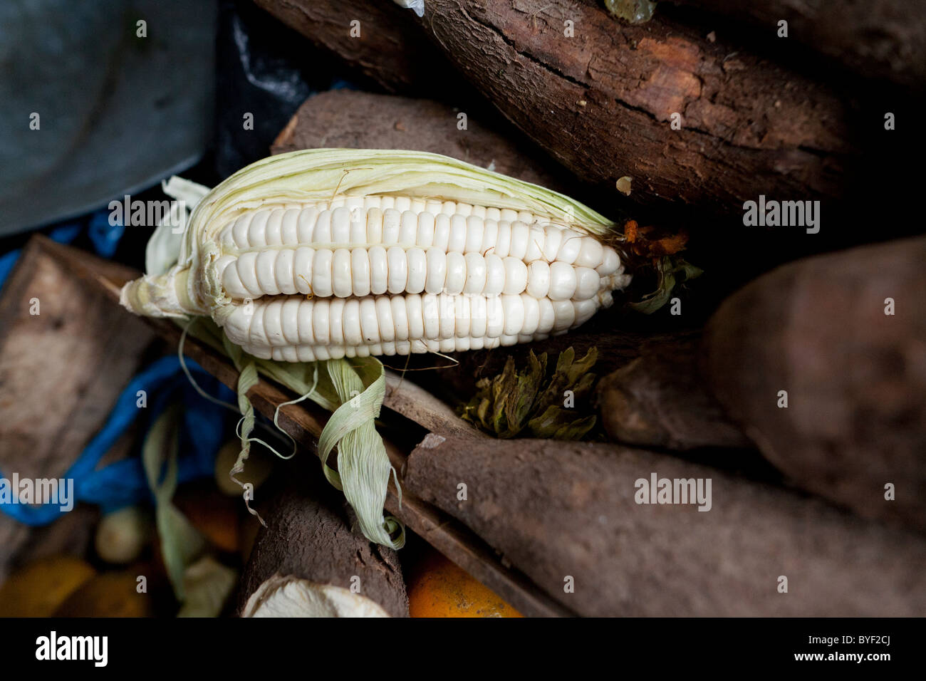 Large kernel corn or Choclo for sale in the market in the Peruvian city ...