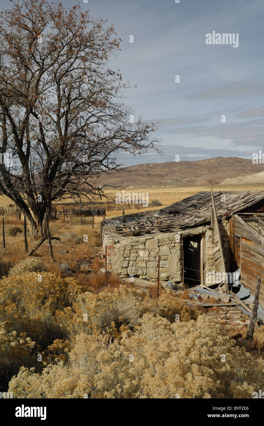 Austin, Nevada, Ranch, Abandoned Ranch, Ranching Stock Photo - Alamy