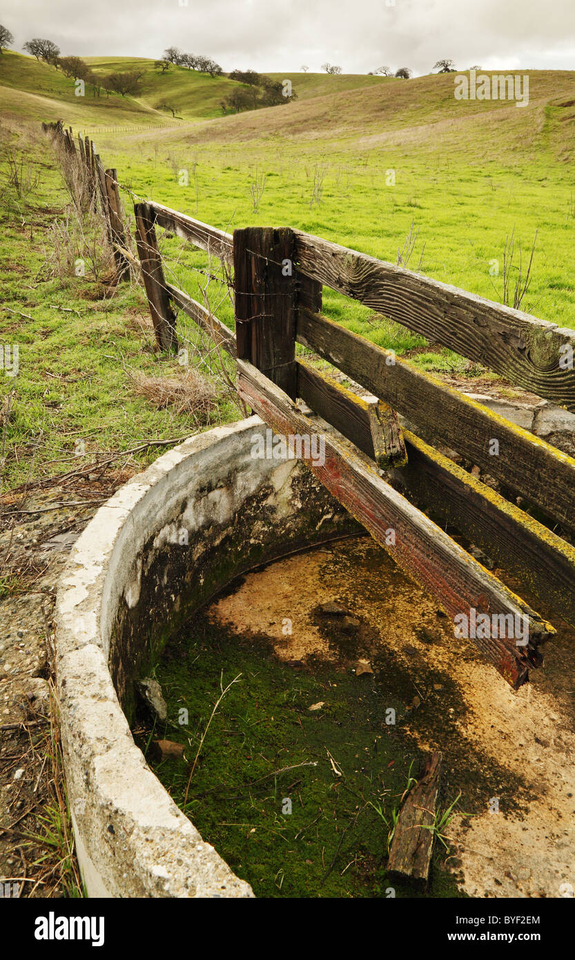 An empty cattle trough on farmland Stock Photo - Alamy