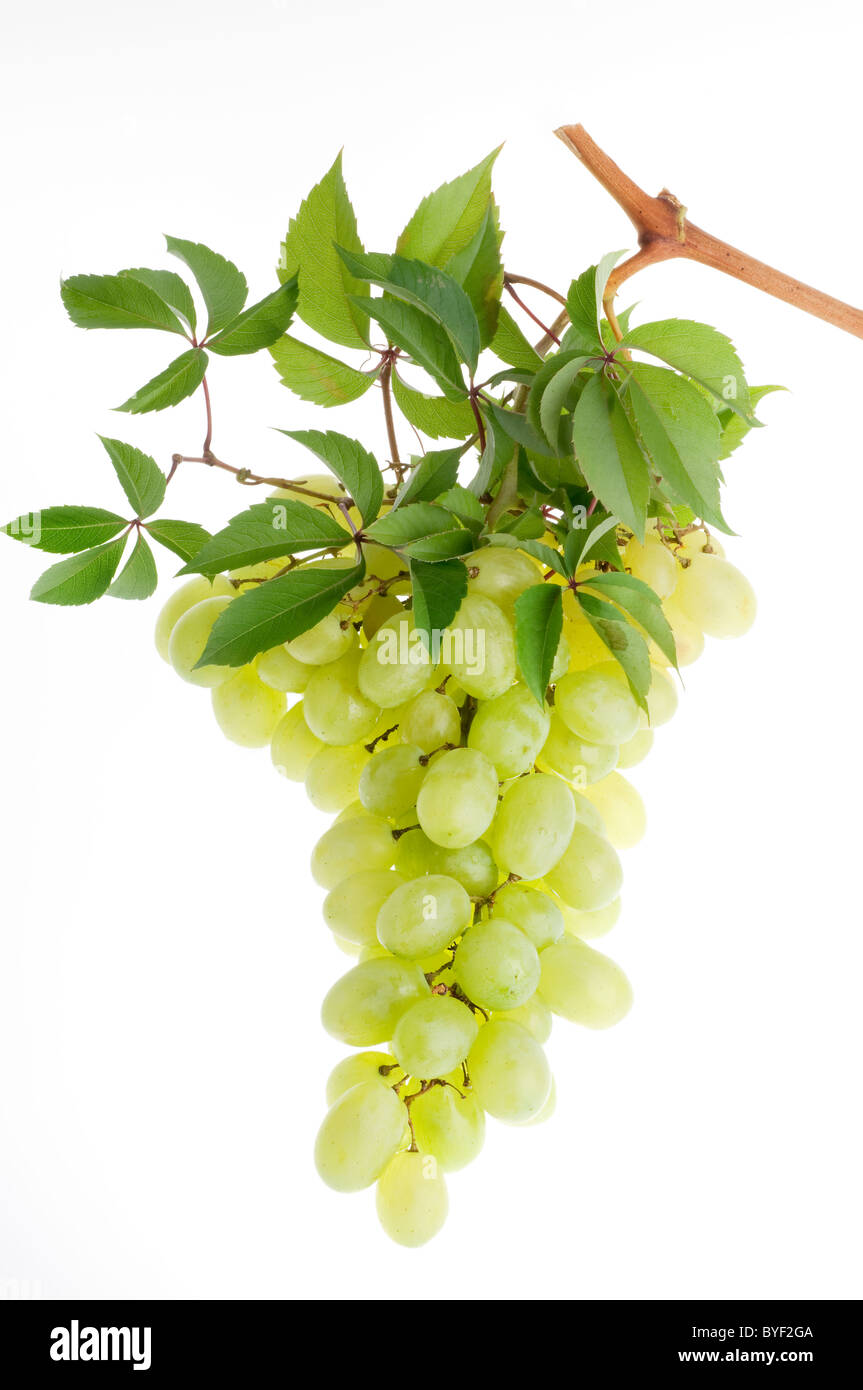Green grape food isolated over white background Stock Photo - Alamy