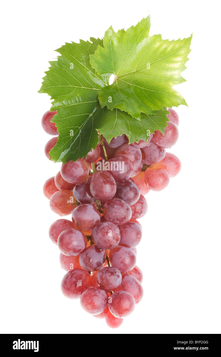 Bunch of raw grape isolated over white background Stock Photo - Alamy