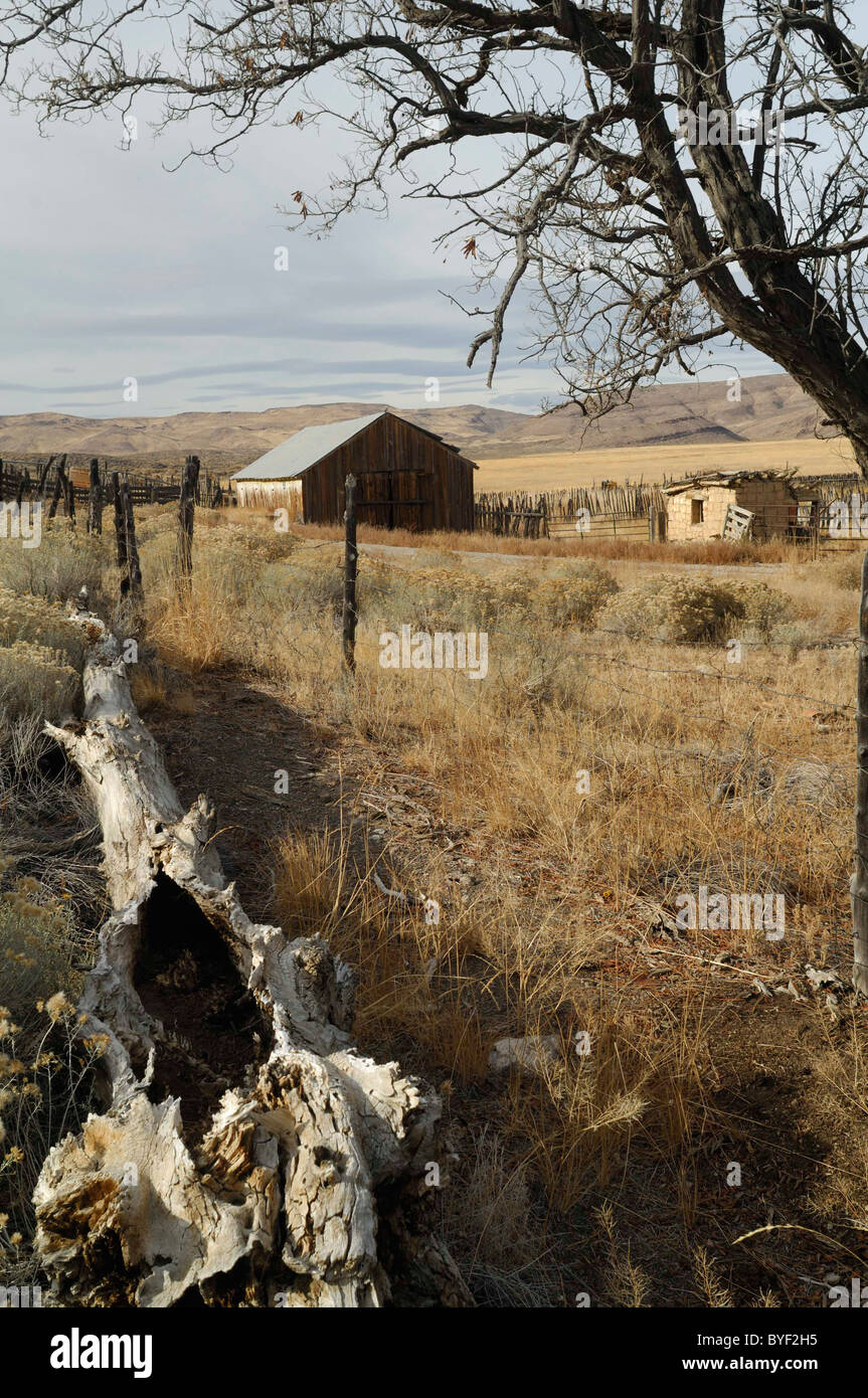 Austin, Nevada, Ranch, Abandoned Ranch, Ranching Stock Photo - Alamy