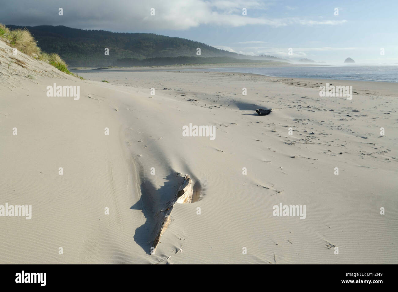 Oregon Coast, Oregon, Ocean, Sea, Sand Dunes, Dune Stock Photo - Alamy