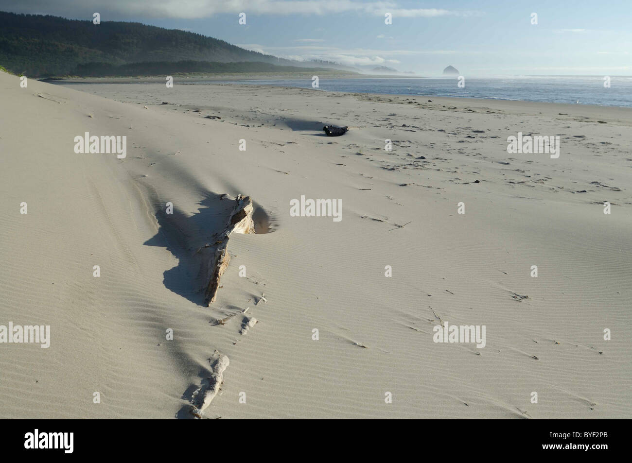 Oregon Coast, Oregon, Ocean, Sea, Sand Dunes, Dune Stock Photo - Alamy