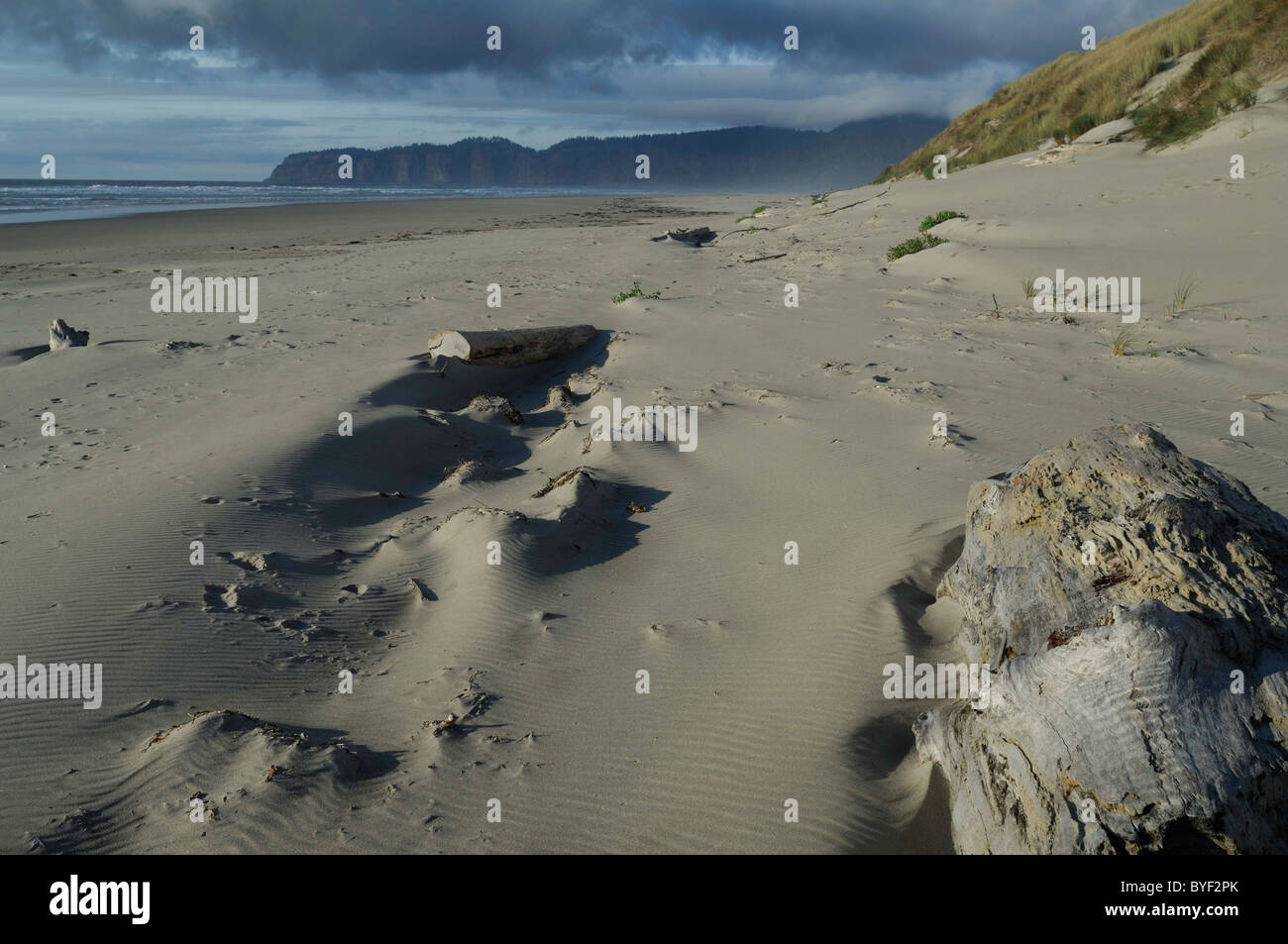 Oregon Coast, Oregon, Ocean, Sea, Sand Dunes, Dune Stock Photo - Alamy