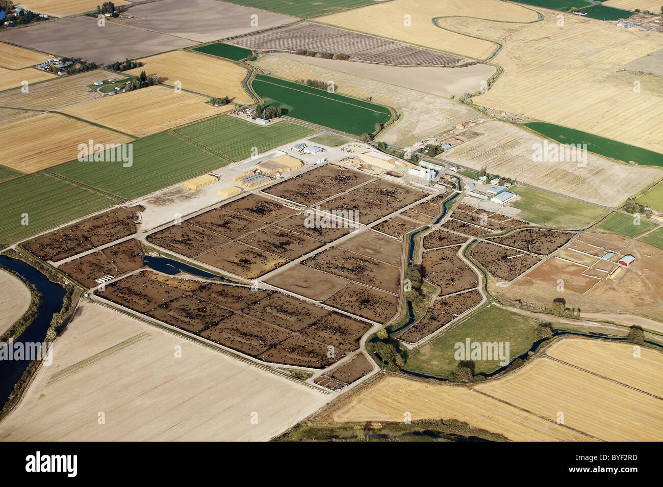 Animal feeding operation hi-res stock photography and images - Alamy