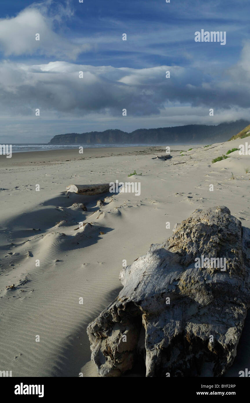 Oregon Coast, Oregon, Ocean, Sea, Sand Dunes, Dune Stock Photo - Alamy