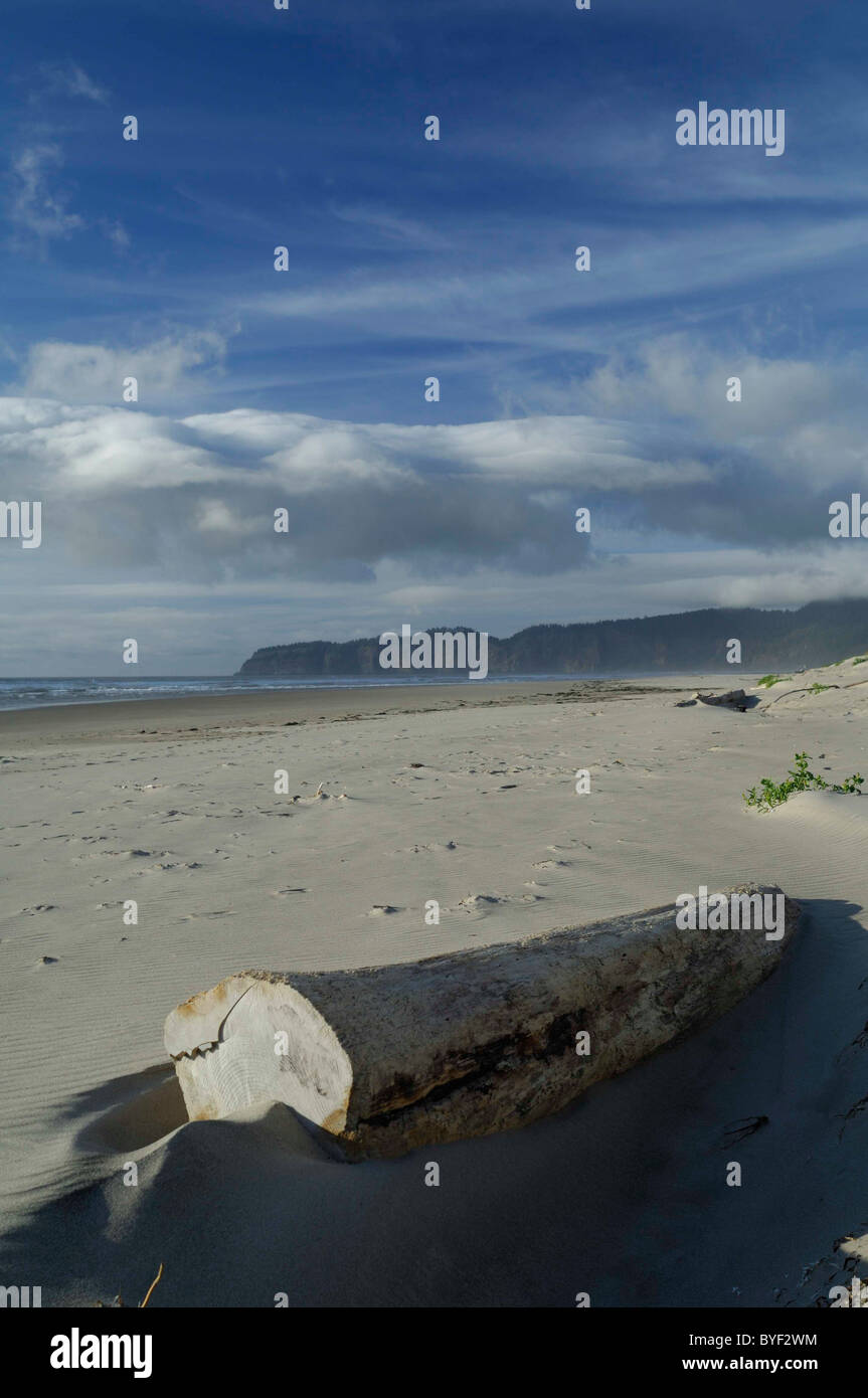Oregon Coast, Oregon, Ocean, Sea, Sand Dunes, Dune Stock Photo - Alamy