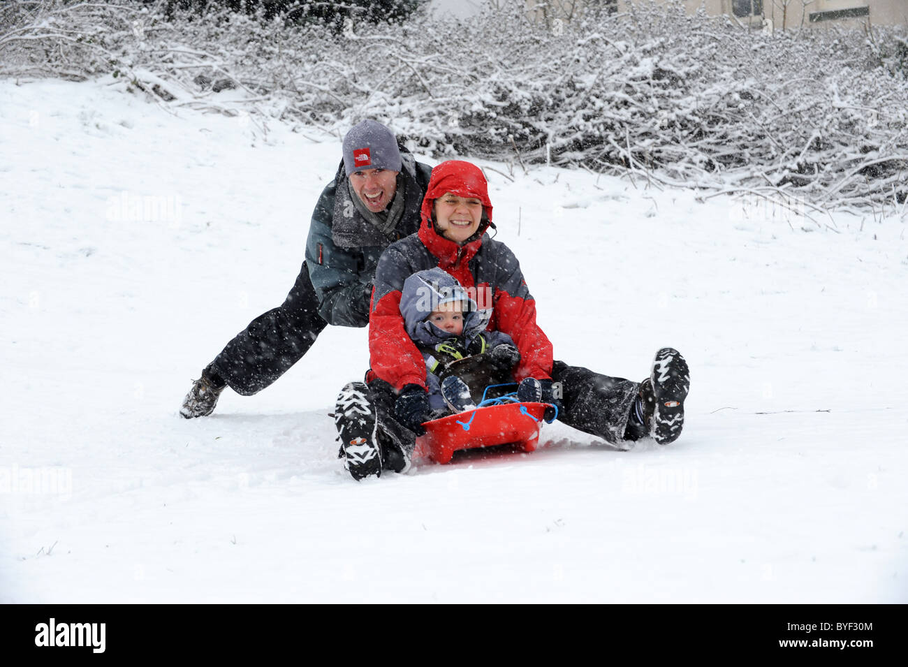 Family sledging with child in winter snow uk Stock Photo - Alamy