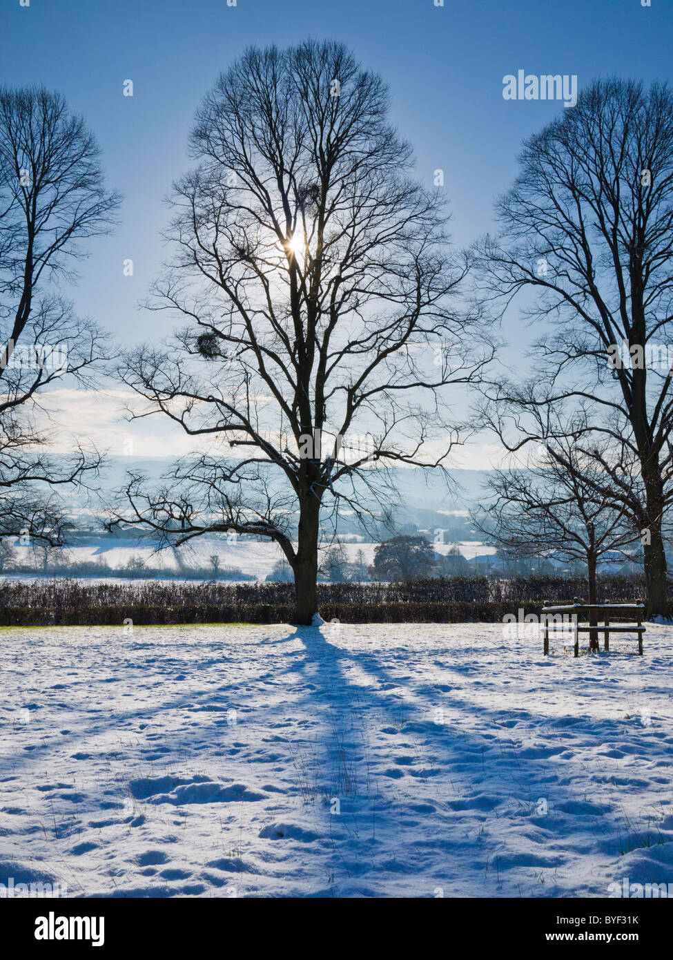 Britain winter sun hi-res stock photography and images - Alamy