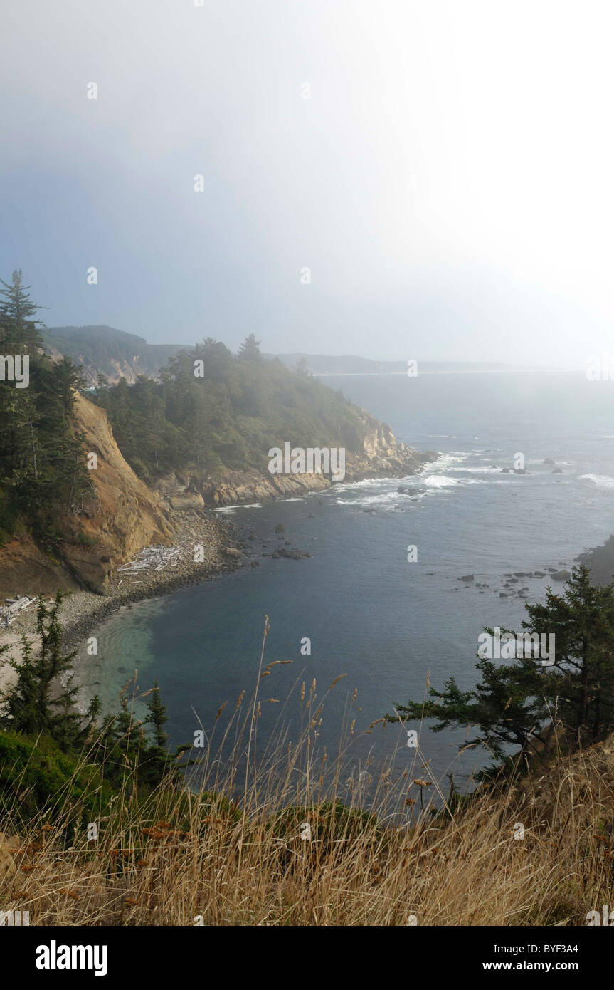 Ocean Cove, Fog, Trees, Cape Arago, Bandon, Oregon, Pacific Ocean ...