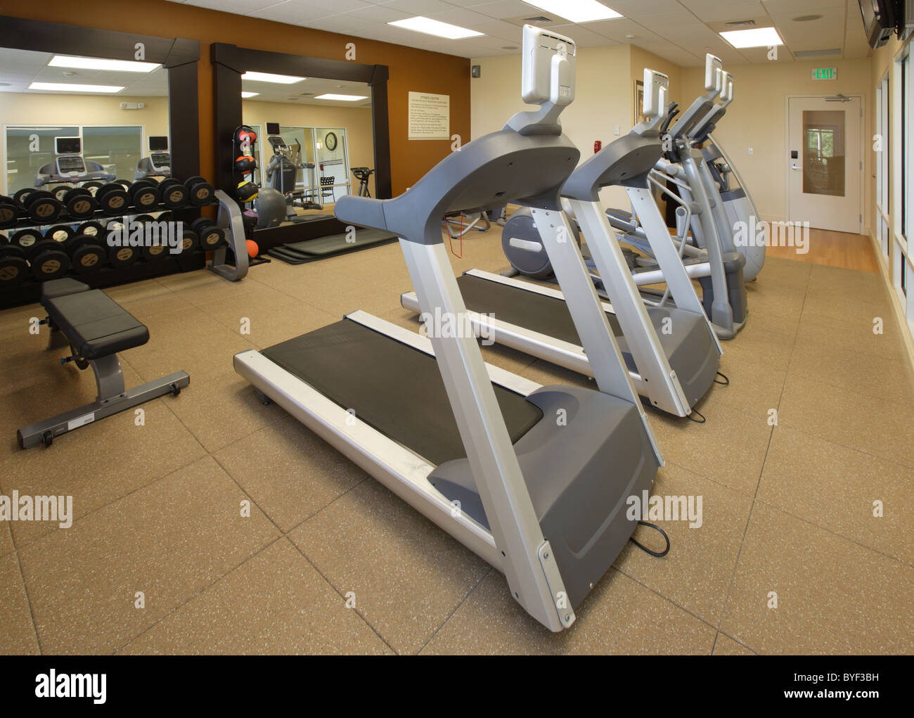 The fitness center in a hotel, with treadmills, free weights, stepper ...