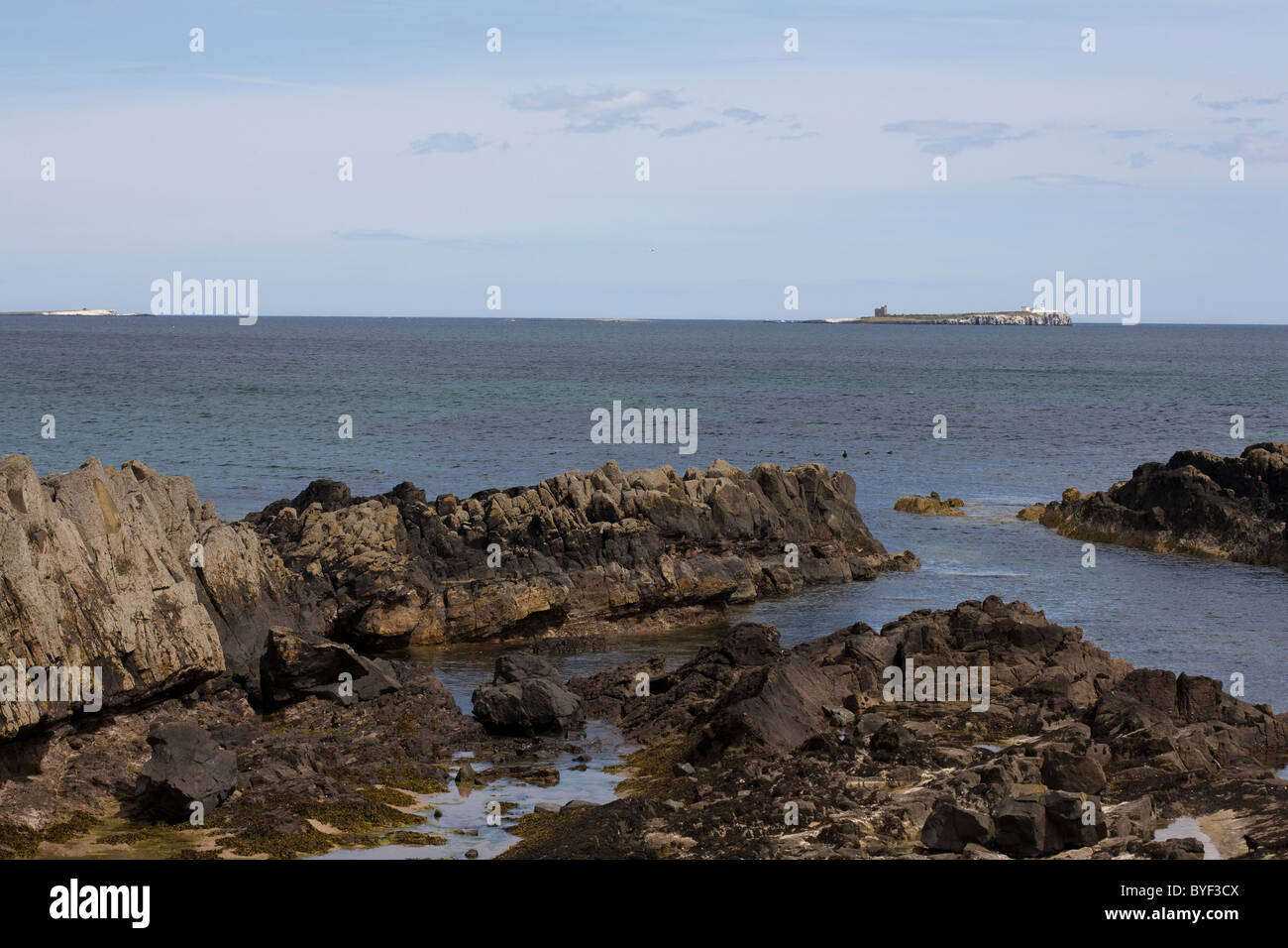 The Farne Islands from Harkess Rocks Bamburgh Northumberland England ...