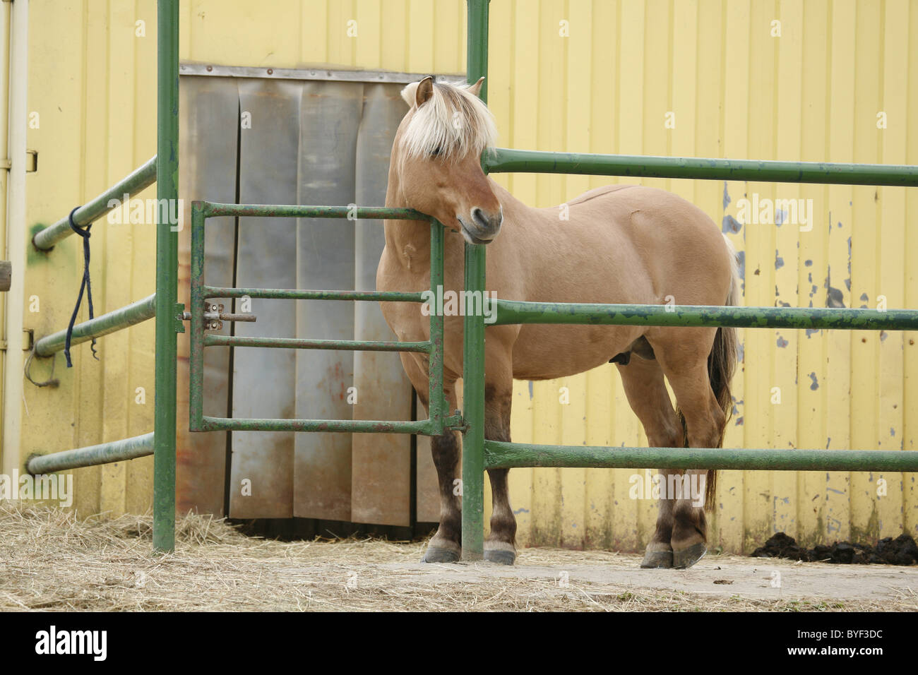Stall aussen hi-res stock photography and images - Alamy