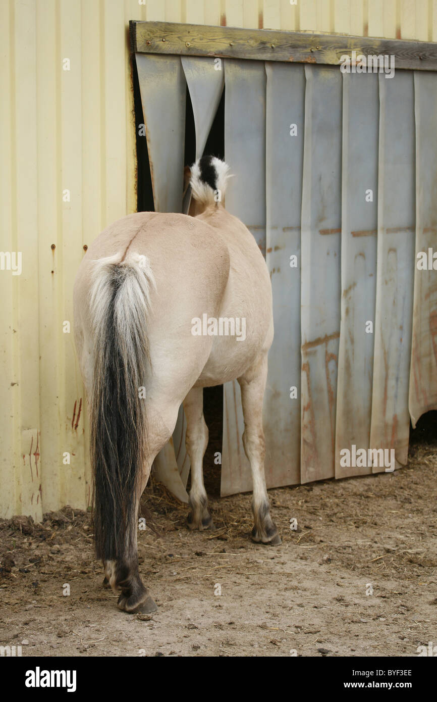 Stall aussen hi-res stock photography and images - Alamy