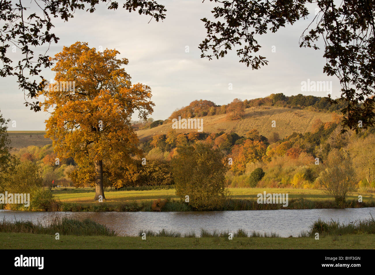 Beale park hi-res stock photography and images - Alamy