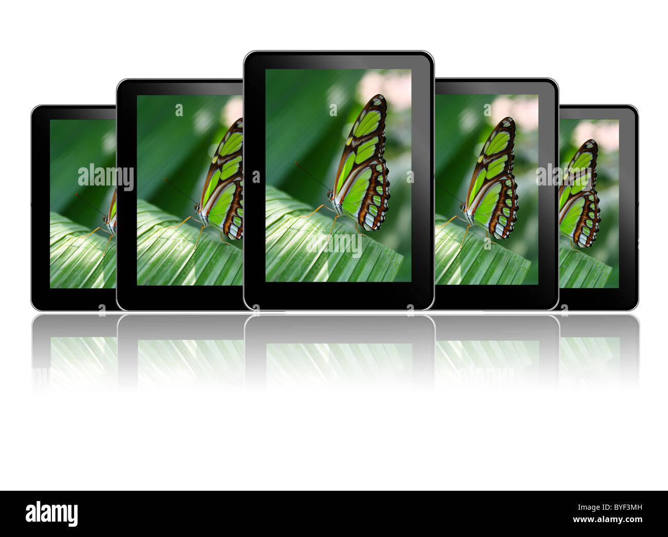 Tablet pc's with butterflies in a row Stock Photo - Alamy