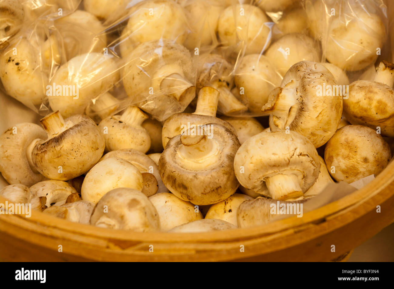Fresh button mushrooms hi-res stock photography and images - Alamy