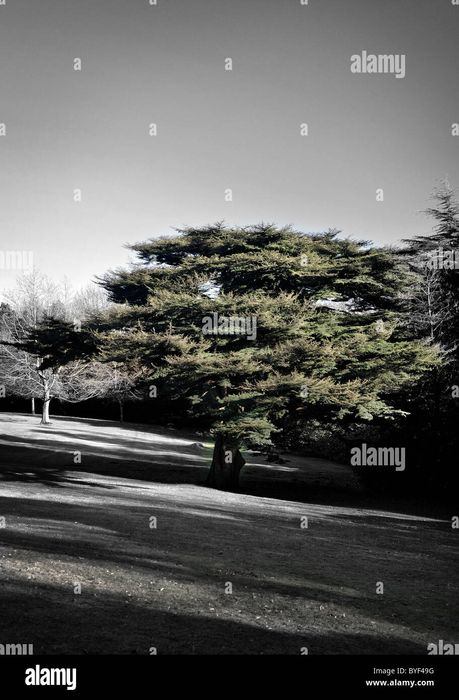 Tatton hall hi-res stock photography and images - Alamy