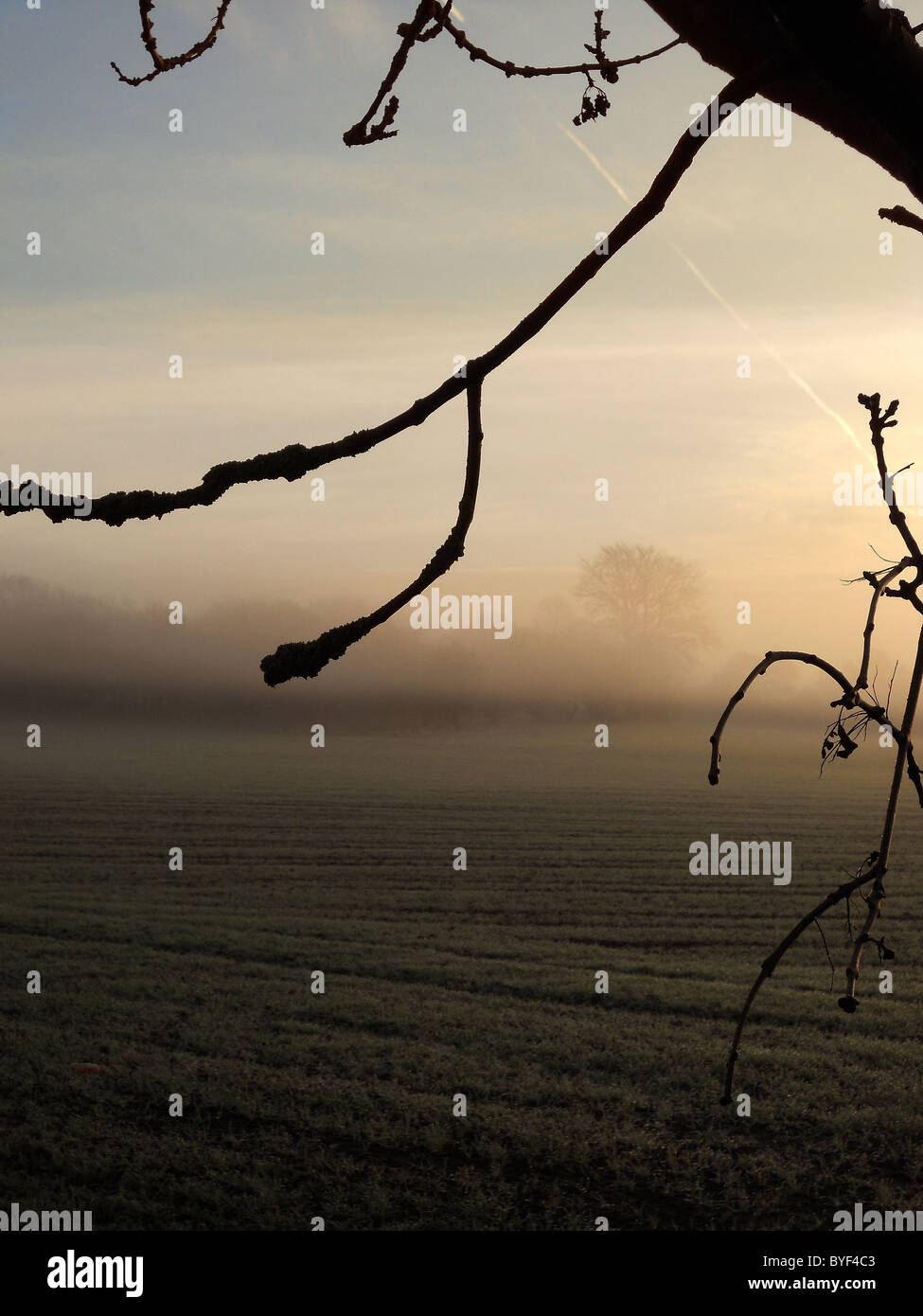 English country walk early morning hi-res stock photography and images ...