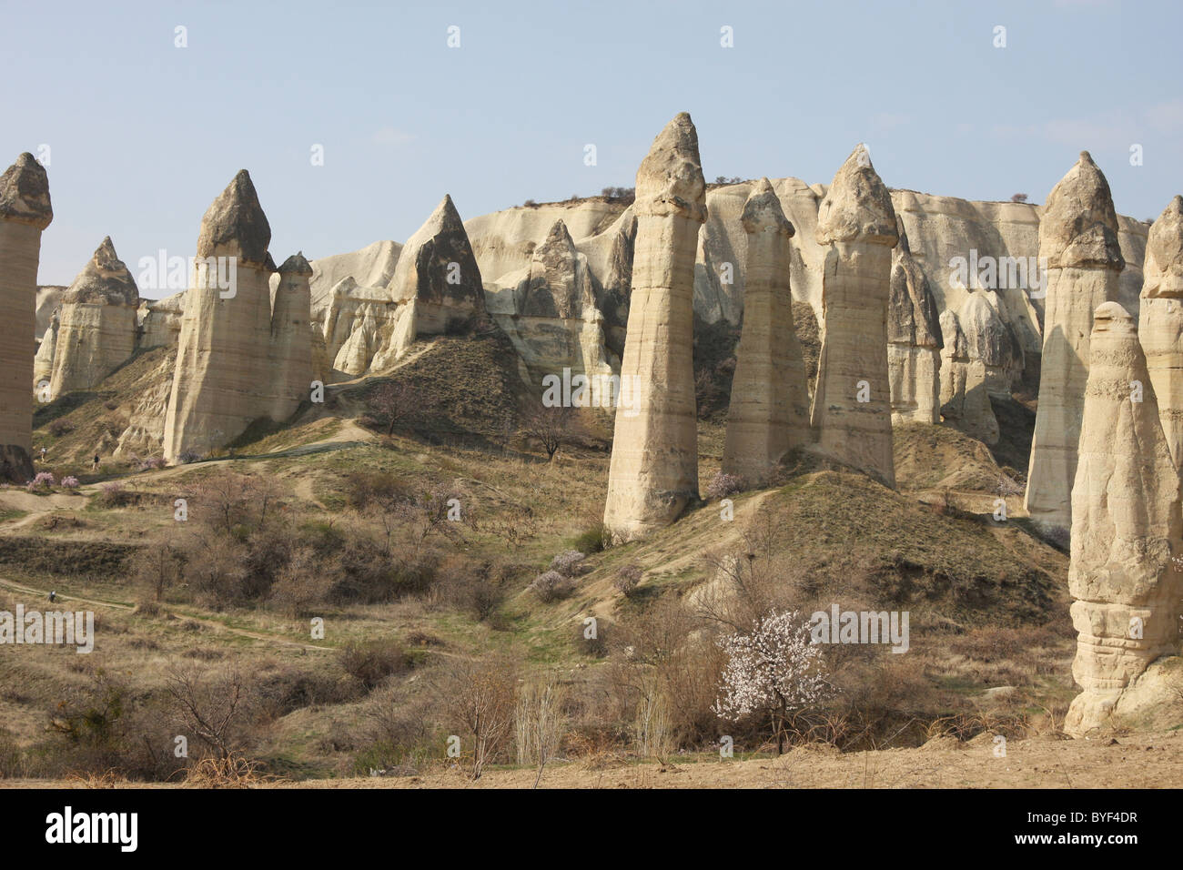 Fairy chimneys in Cappadocia Turkey Stock Photo - Alamy
