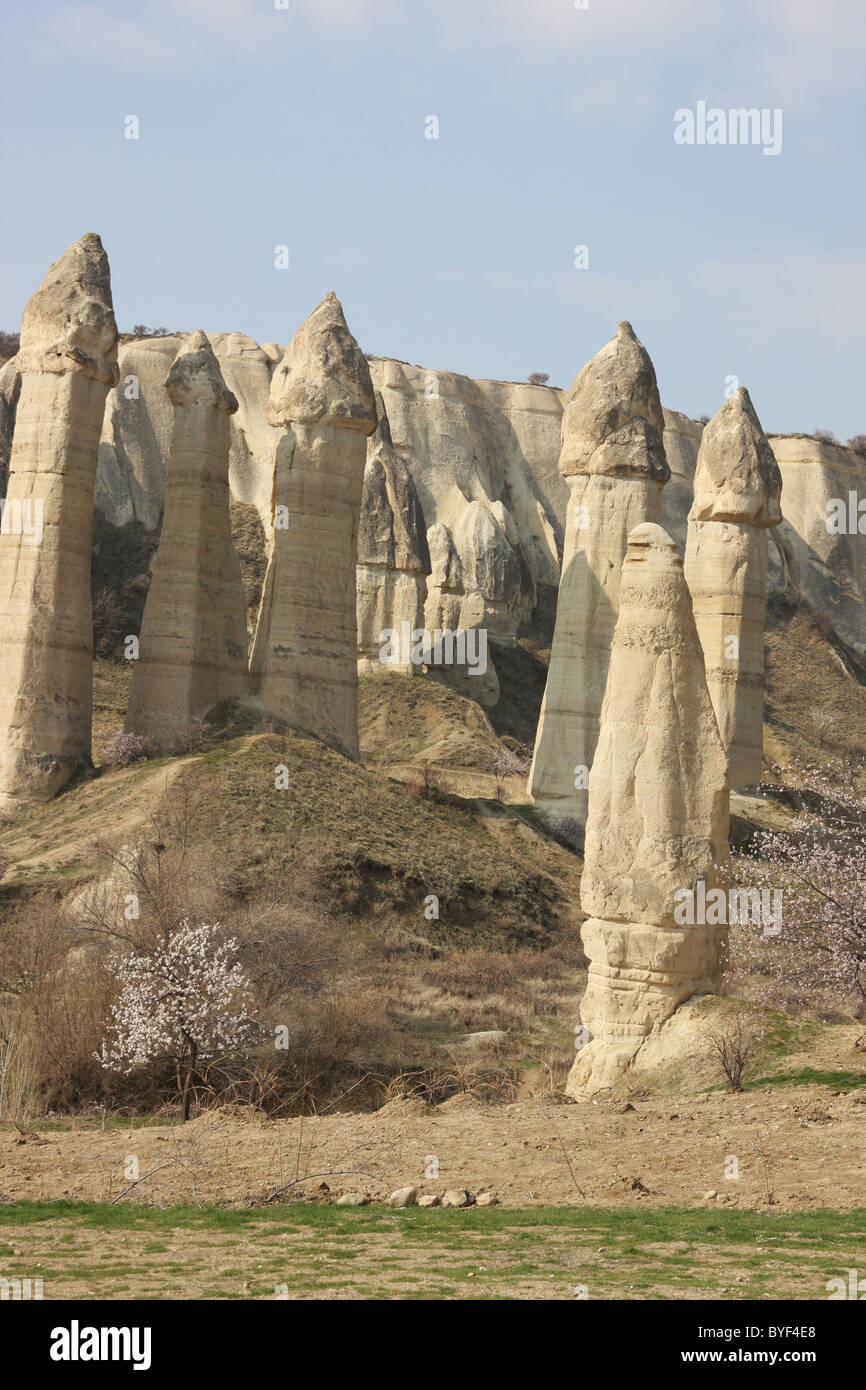 Fairy chimneys in Cappadocia Turkey Stock Photo - Alamy