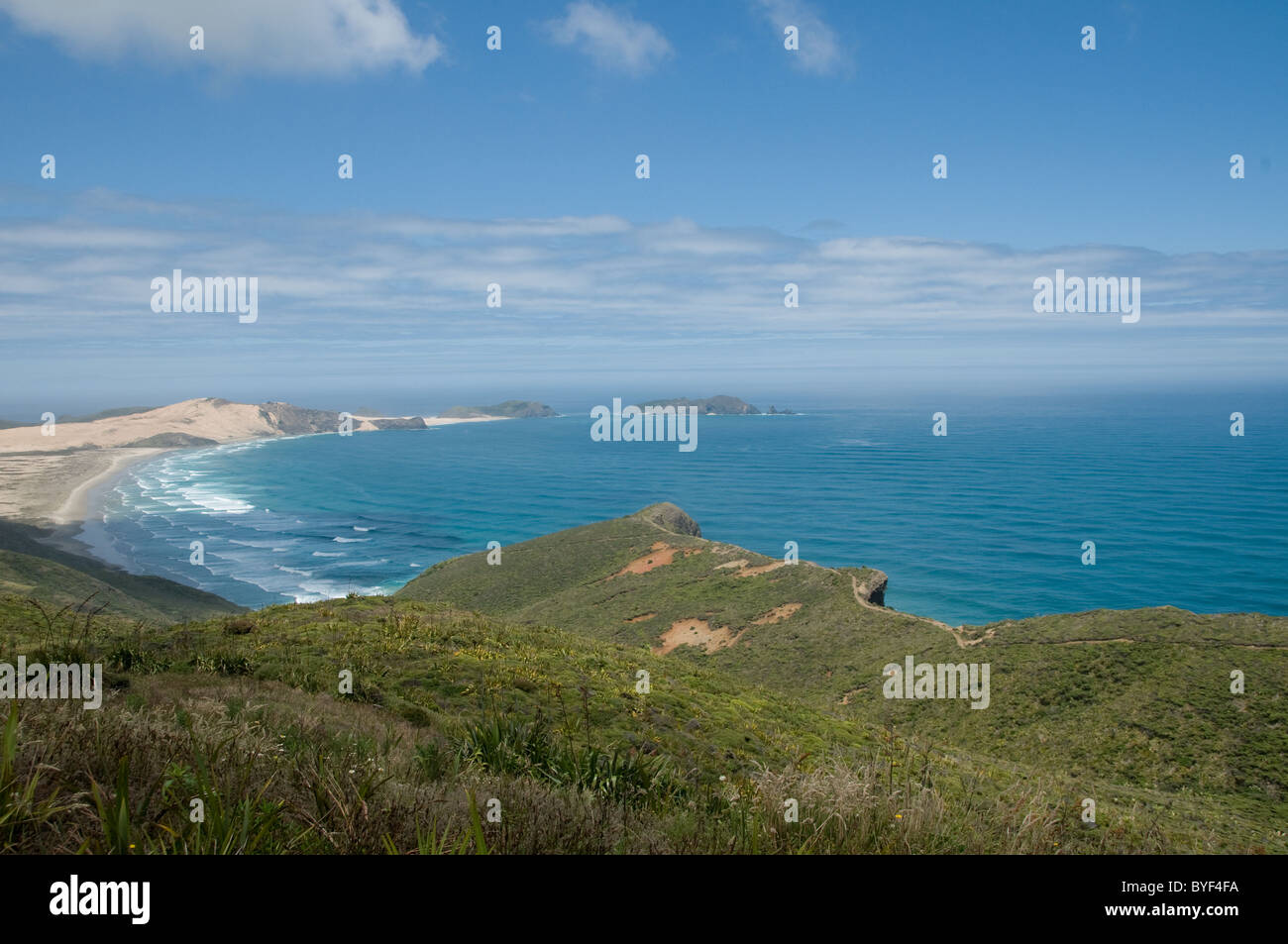 View of the ocean from Cape Reinga, New Zealand Stock Photo - Alamy