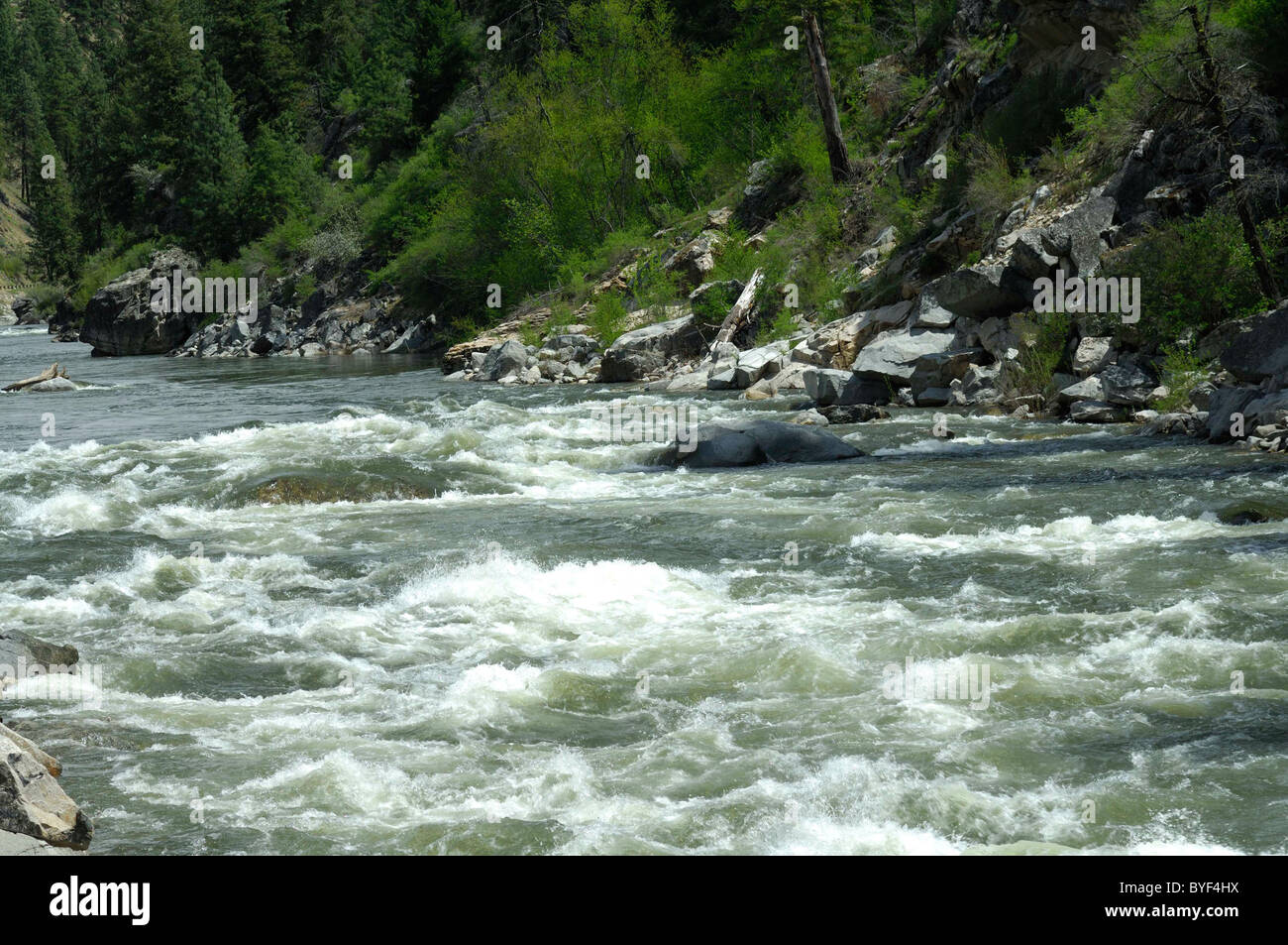 Payette River, Idaho, River, Stream Stock Photo - Alamy