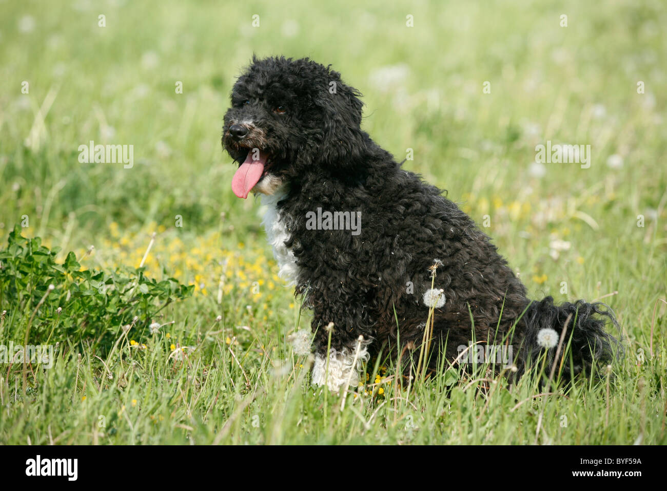 13288 hi-res stock photography and images - Alamy