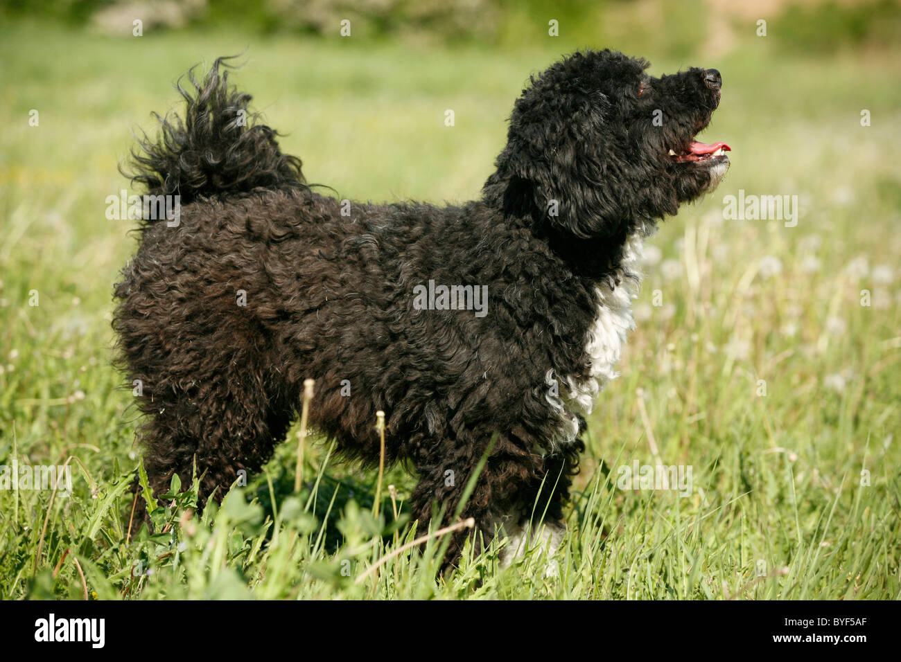 13292 High Resolution Stock Photography and Images - Alamy
