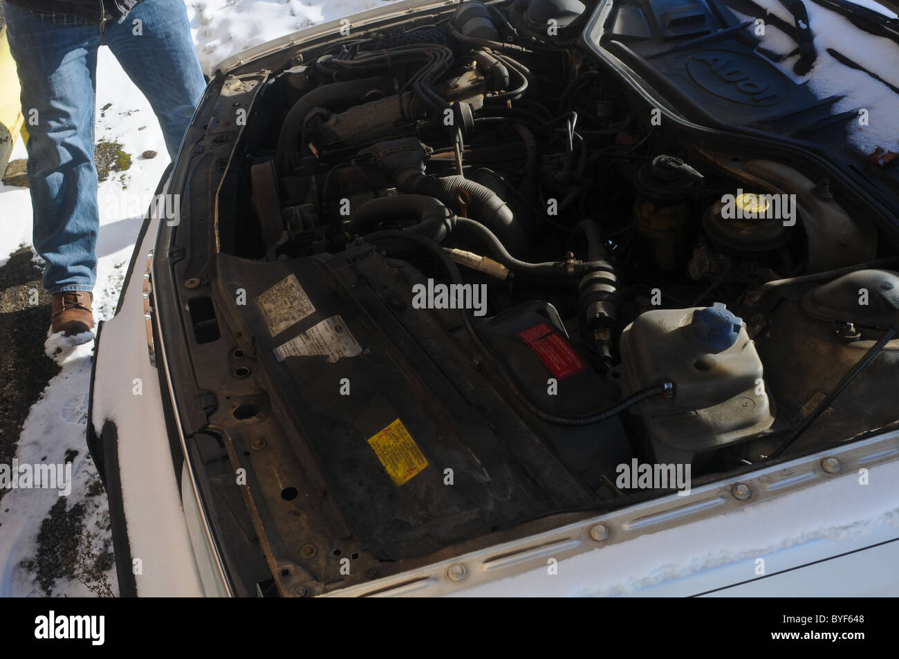 Engine compartment of an old Audi Stock Photo - Alamy