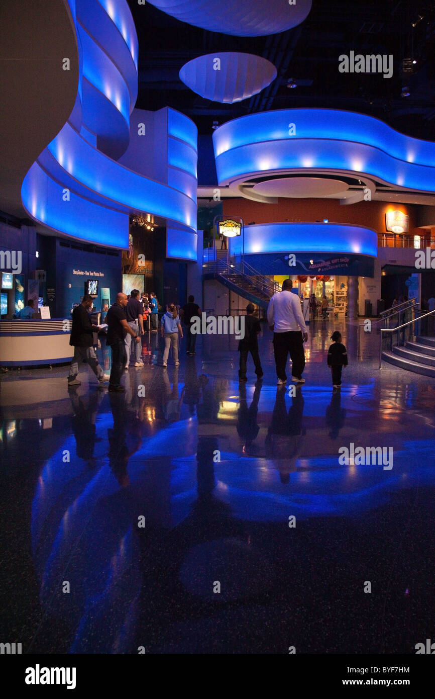 Georgia aquarium lobby hi-res stock photography and images - Alamy