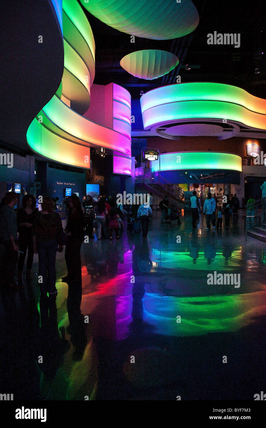 Atrium of the Georgia Aquarium, Atlanta Stock Photo - Alamy