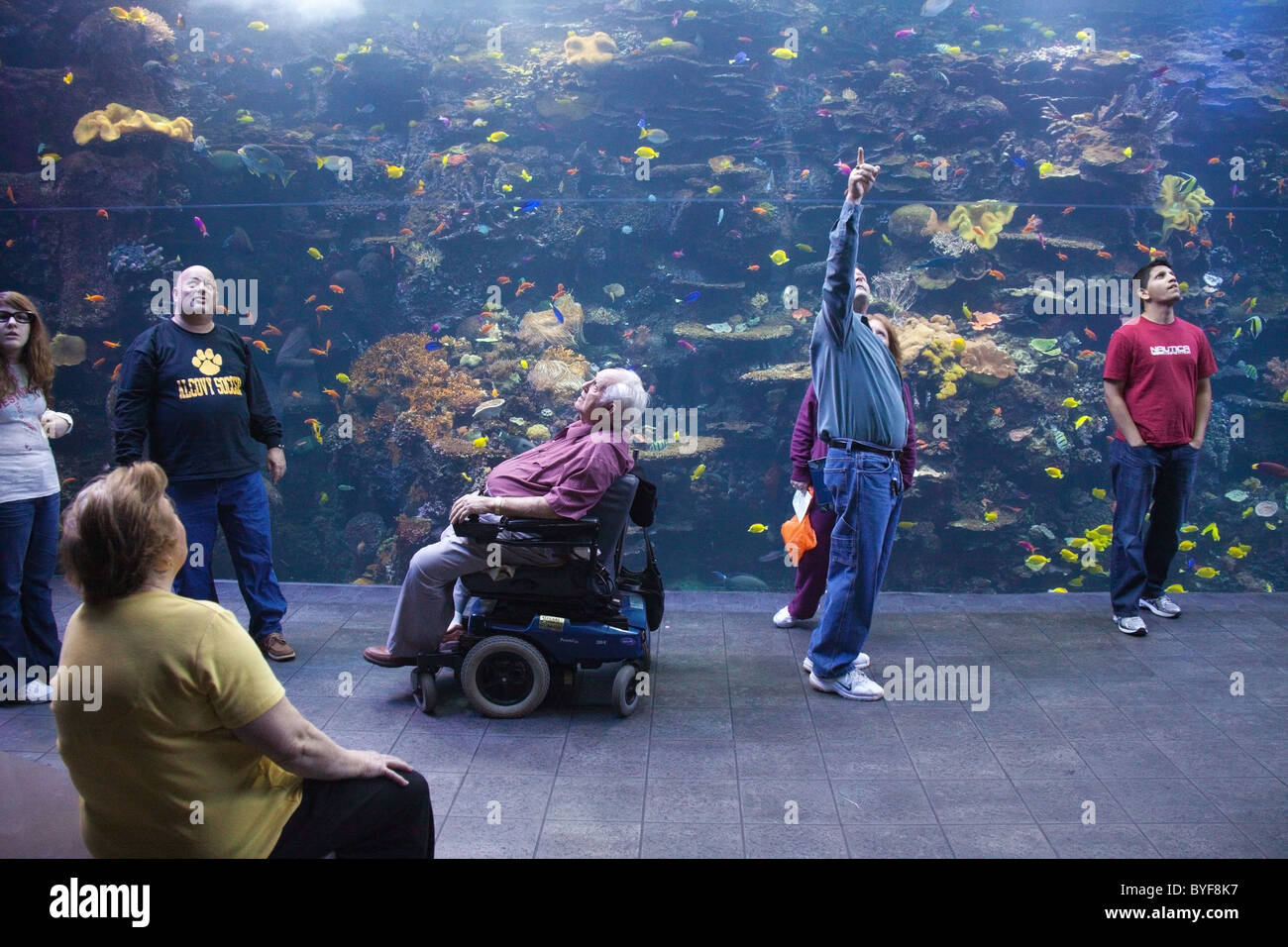 Patrons at an artificial reef at the Georgia Aquarium, Atlanta Stock ...