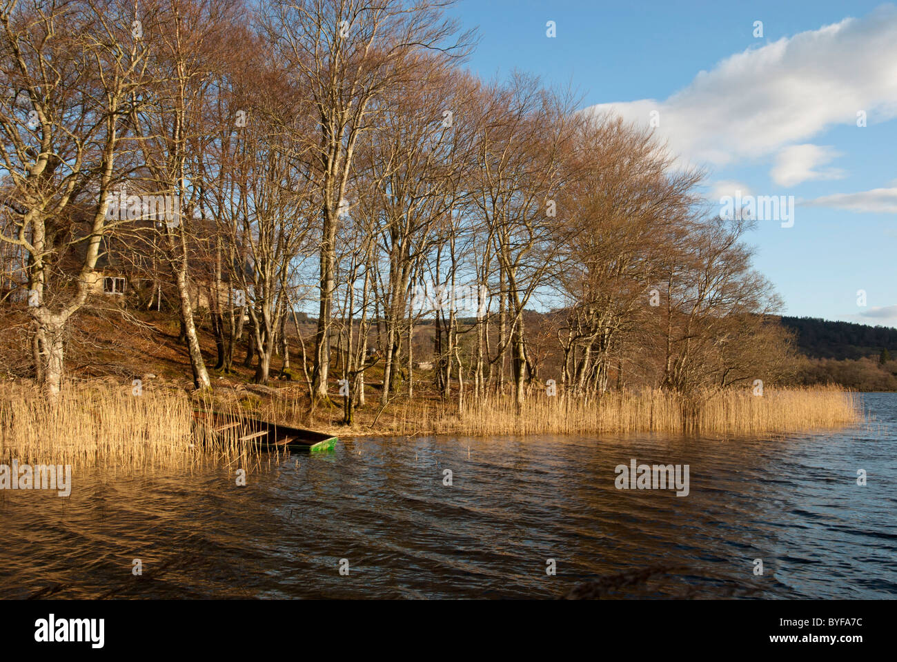 Sunken rowing boat on lake reeds and trees hi-res stock photography and ...