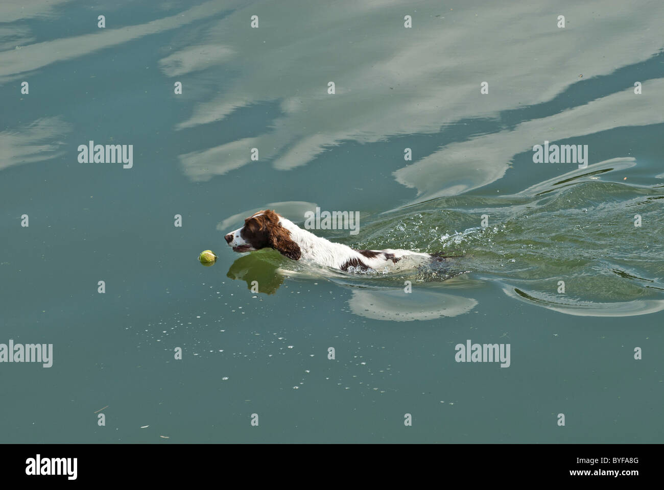 Fetches hi-res stock photography and images - Alamy