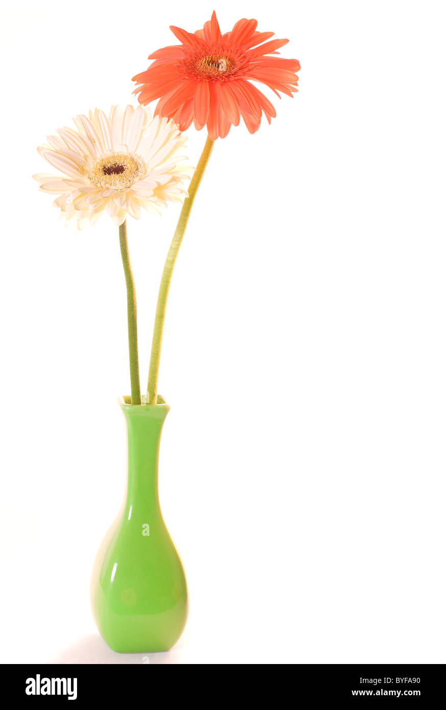 Two gerbers hi-res stock photography and images - Alamy