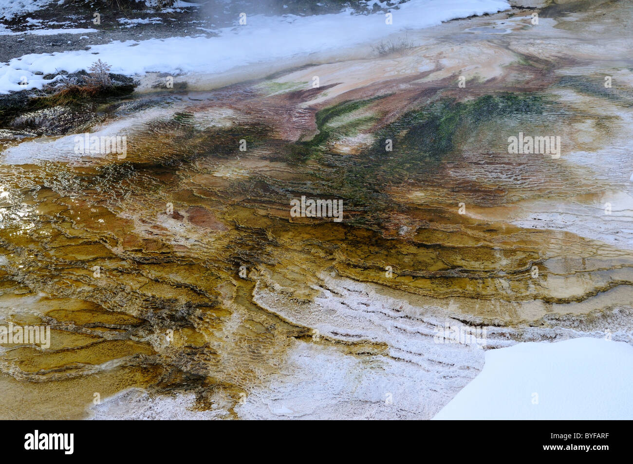 Travertine deposits with colorful algae. Mammoth Hot Springs ...