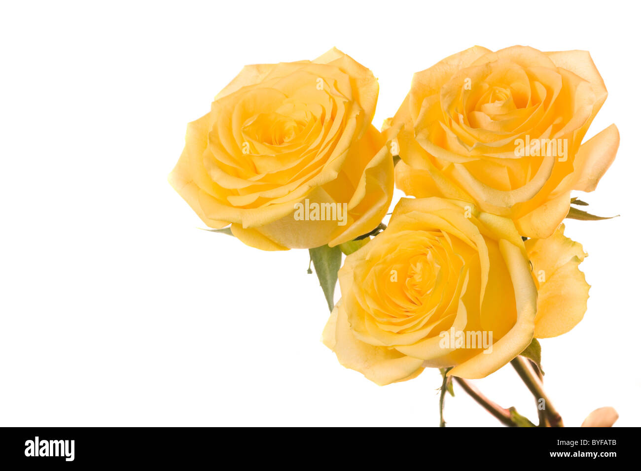 The mother of the two Cut Out Stock Images & Pictures - Alamy