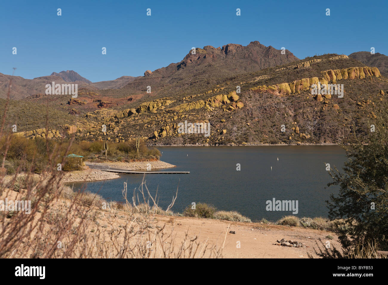 Are Dogs Allowed At Bartlett Lake