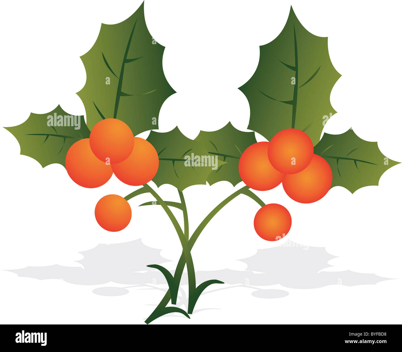 Illustration of two berries with leaves Stock Photo - Alamy