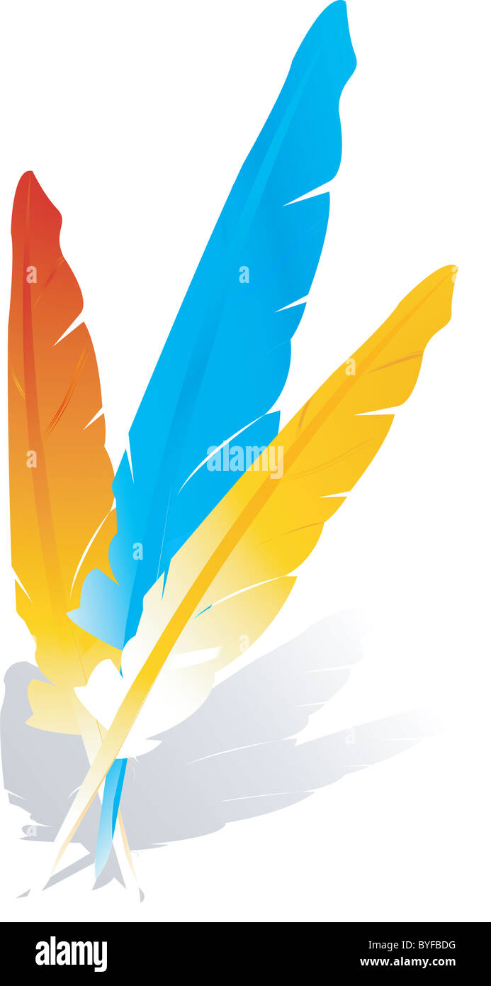 Illustration of three different colours of feather Stock Photo - Alamy