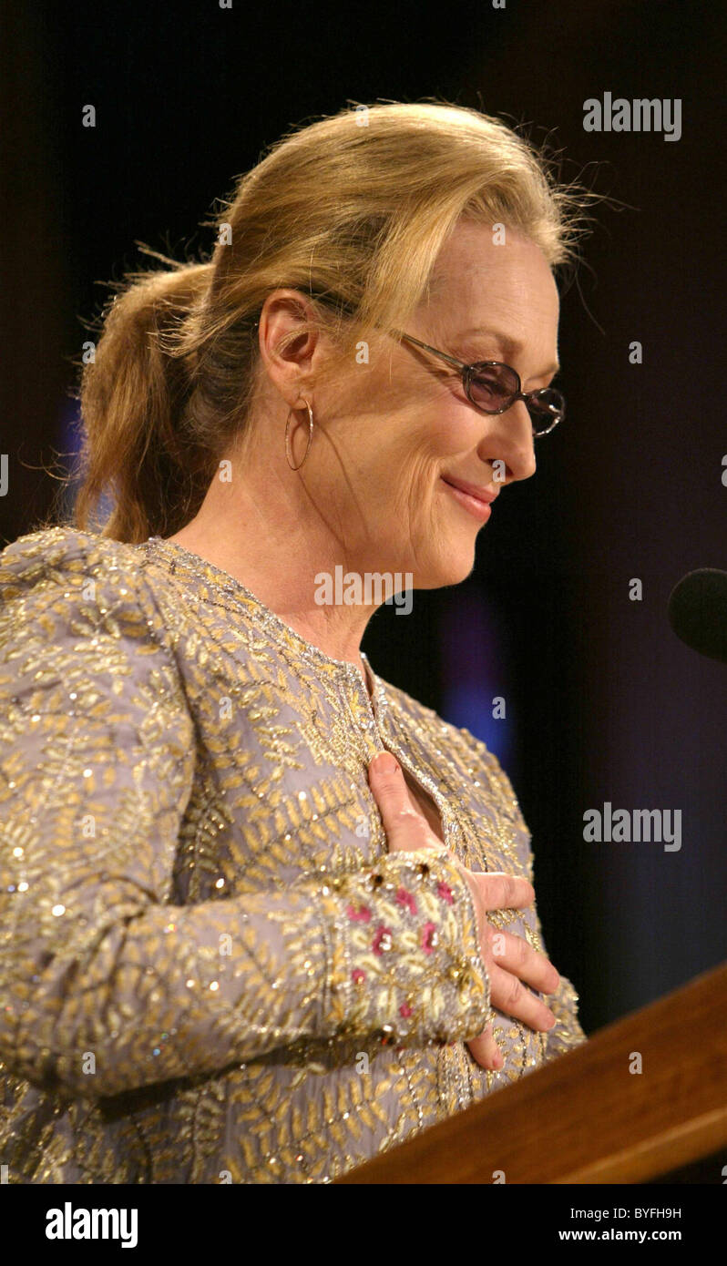 Meryl Streep appeared as ICRW's 'Champions For Change' 2007 awards gala ...