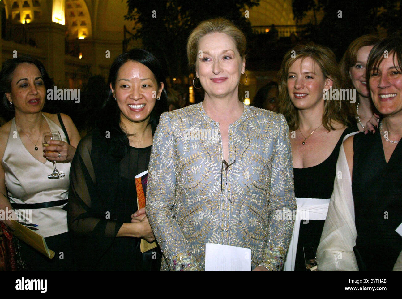 Meryl Streep and guests appeared as ICRW's 'Champions For Change' 2007 ...